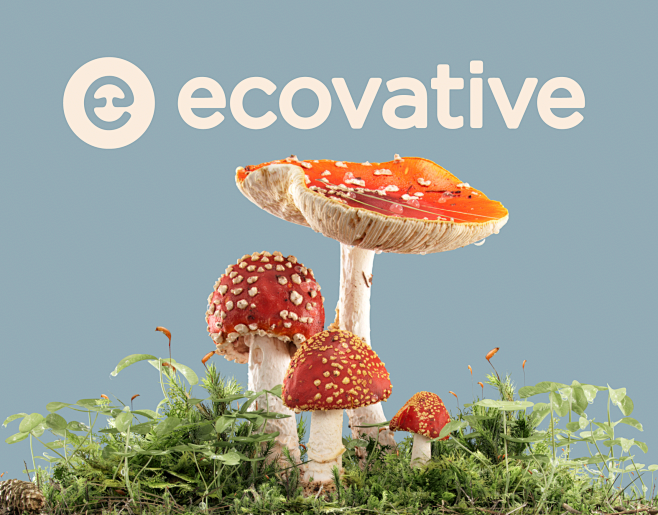ECOVATIVE BRAND FILM