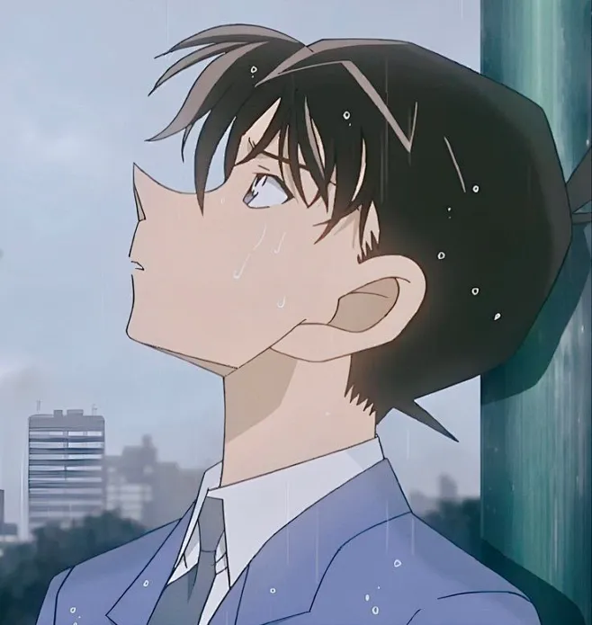 Shinichi Kudo-花瓣网
