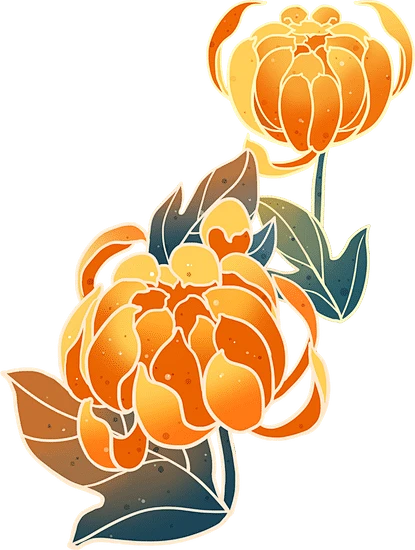 创意国潮风重阳节插画-菊花-花瓣网