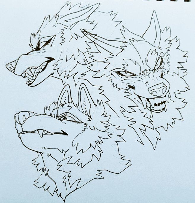 Twitter | Furry art, Furry drawing, Cute art