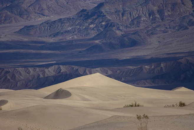 beige dune-花瓣网