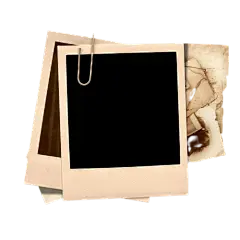 图层_15-removebg-preview-花瓣网