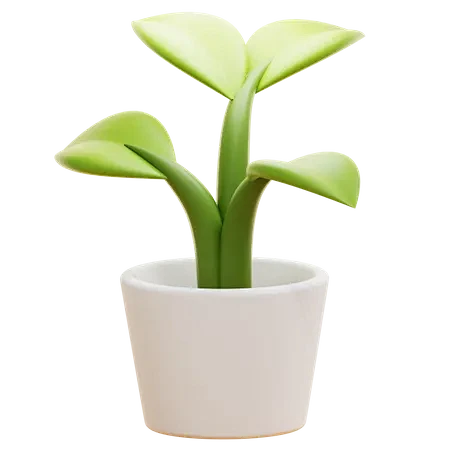 DESK PLANT 3D Icon-花瓣网