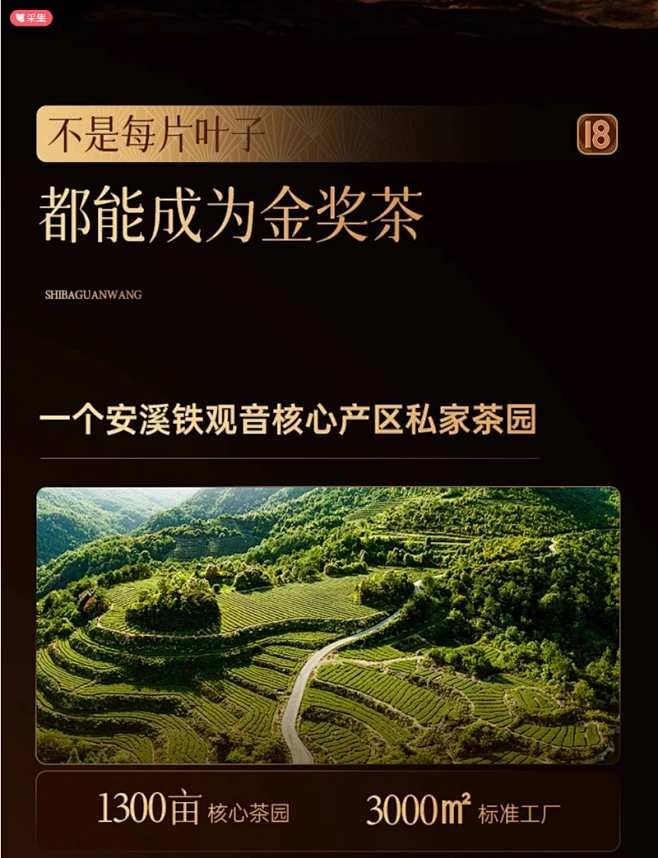 安溪铁观音特级茶叶陈素全大师获奖纪念茶礼盒装送人送长辈168g-tmall.com天猫-花瓣网