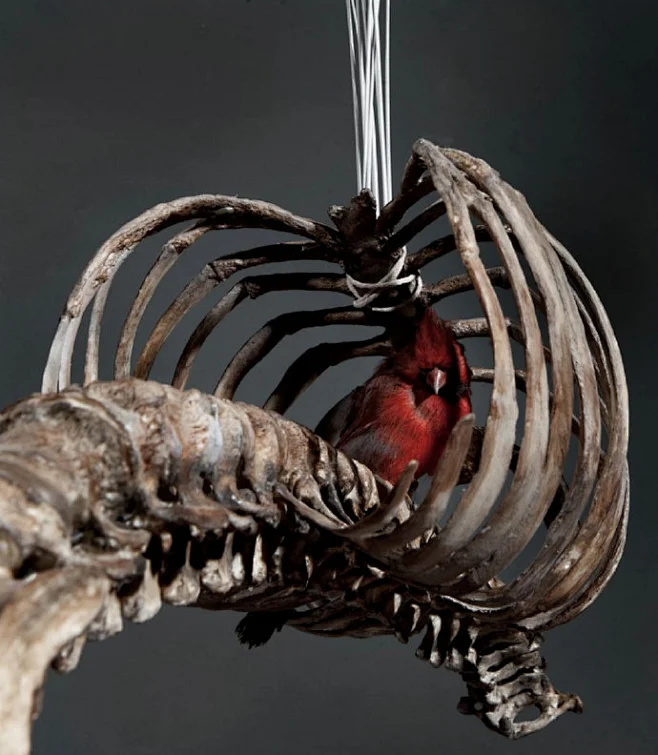 #图# By Polly Morgan -花瓣网