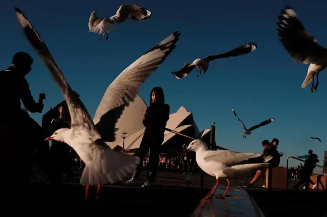 街头摄影师Sam Ferris作品 - 街头人文 - CNU视觉联盟-花瓣网