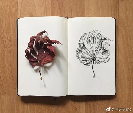 微博搜索-花瓣网