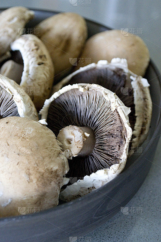 Portabello Mushrooms