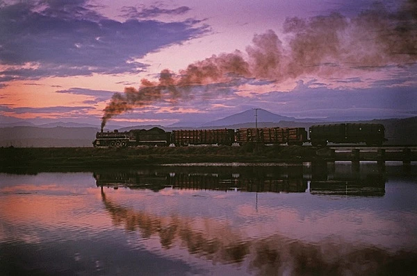 日暮乡关2. 摄影：David Benn。April 10, 2001。南非，Sedgefield。-花瓣网