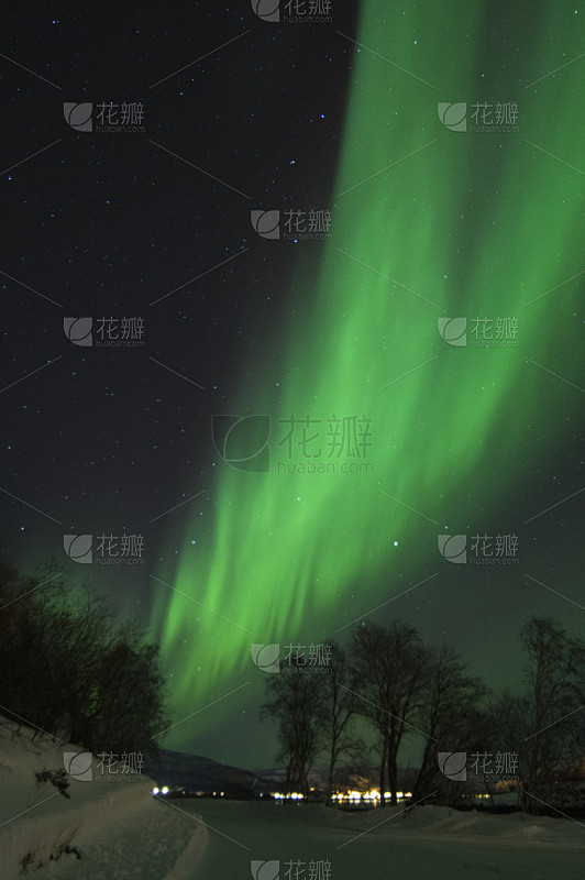 北极光,阿尔塔,挪威,垂直画幅,夜晚,雪,无人,弗尹马尔克县,户外,北挪威