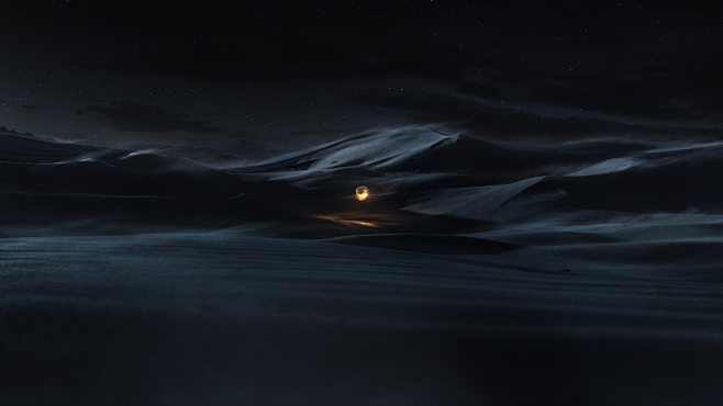 black dark desert flower ILLUSTRATION night sand wood design flo (2)