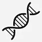 dna生殖物理图标_88ICON https://88icon.com dna 生殖 物理 医学 基因 化学 链 细胞 生物学 科学 教育科学1-花瓣网