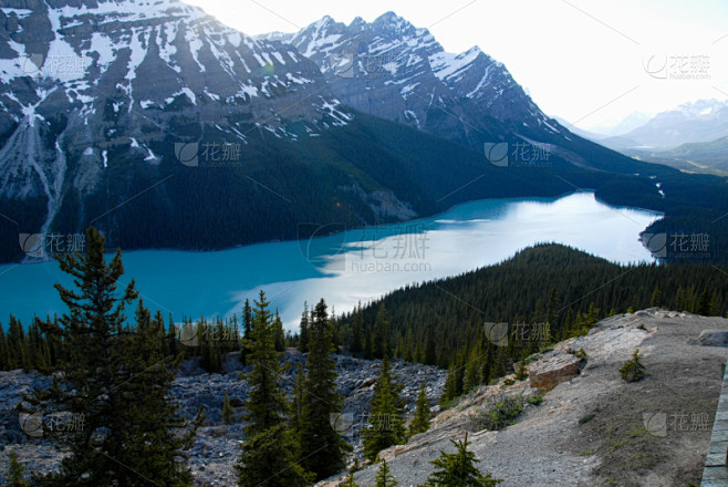 平投湖,加拿大落基山脉,阿尔伯塔省,黄昏,加拿大,春天,冰原大道,班夫,水平画幅,枝繁叶茂