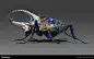Warframe - Titania Deluxe Hawth Diwata-花瓣网