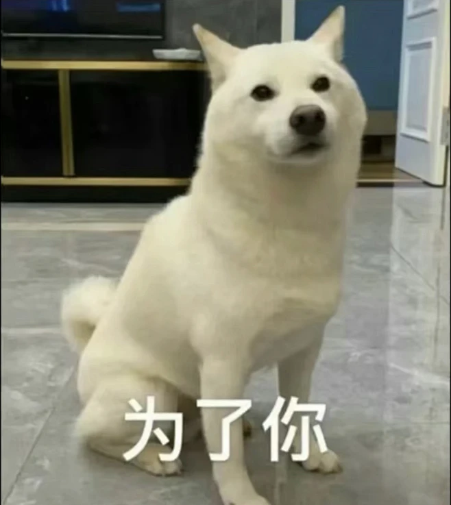 图片_表情包（补药尚扮）图片素材-花瓣网