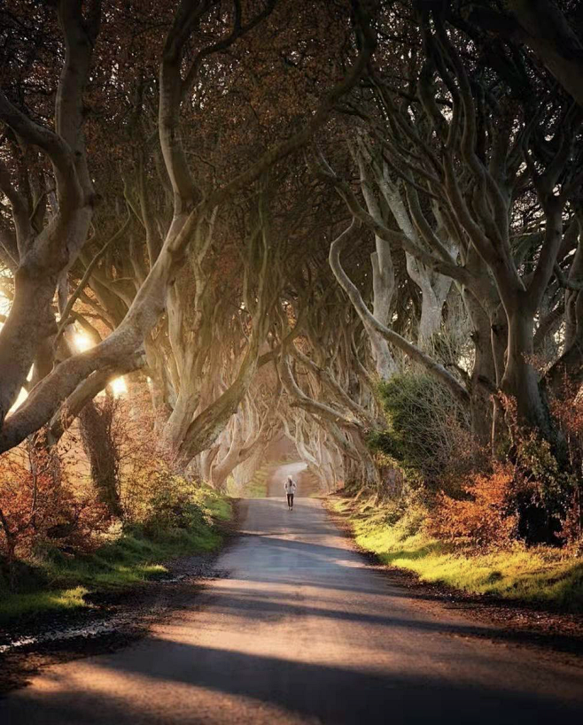 f13e7584-998a-48fe-a92d-0baa95217bb0