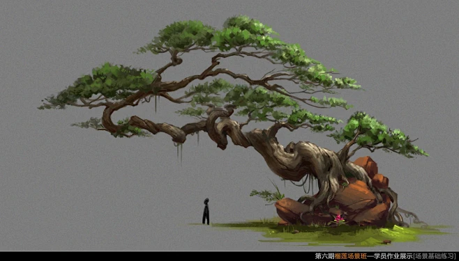 植物原画树原画来自cgbook.cn (1079)-花瓣网