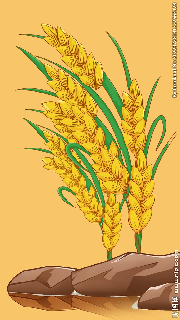 国潮水稻大米插画海报背景-花瓣网