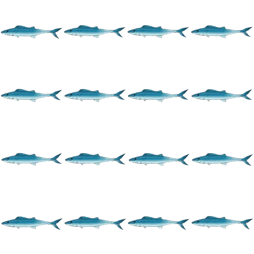 g-s10_qlj_f05-花瓣网
