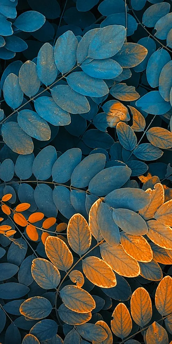 (43) Pinterest图片_适合练插画的照片图片素材-花瓣网