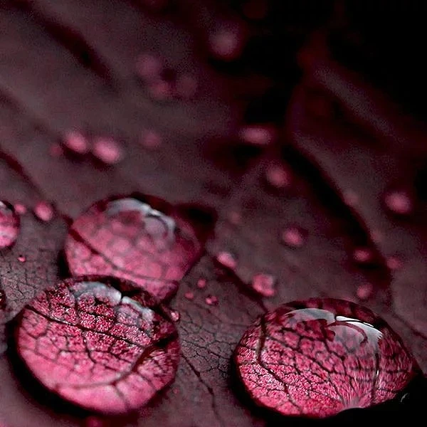 pc_680_webp.webp-花瓣网