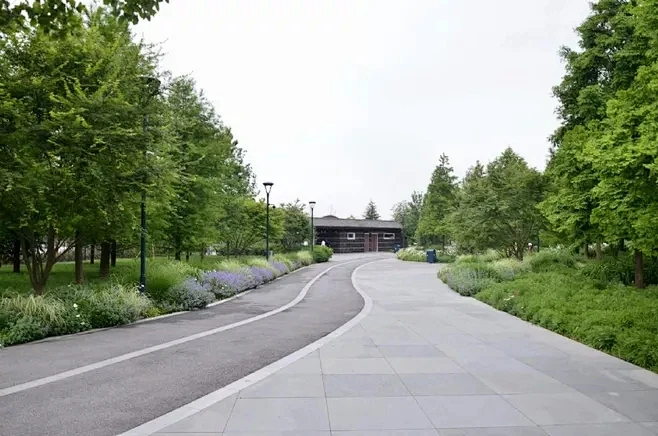 webp.webp (2)-花瓣网