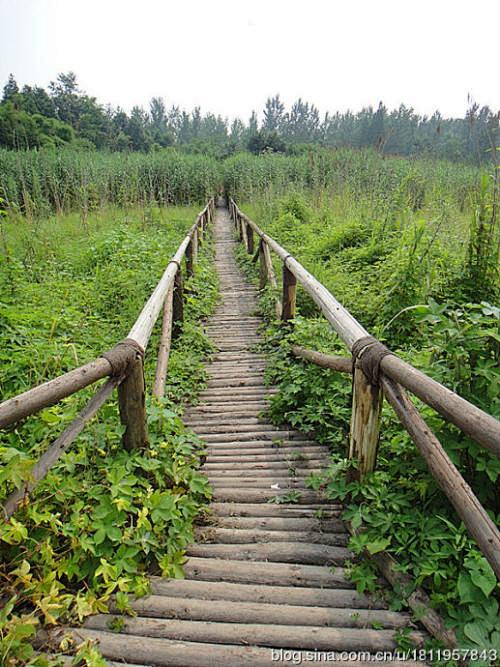 木栈道_百度图片搜索-花瓣网