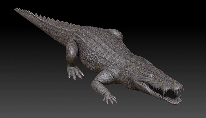 Pallimnarchus. Queensland Museum., Vlad Konstantinov : Pallimnarchus ...