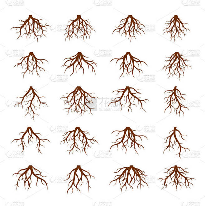 一套棕色根。矢量图.