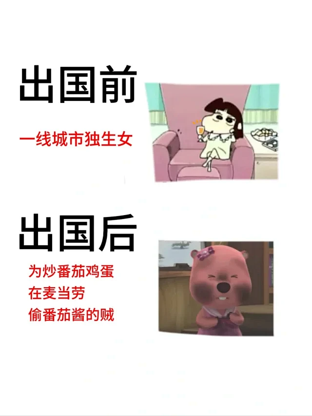 留学 - 小红书搜索-花瓣网