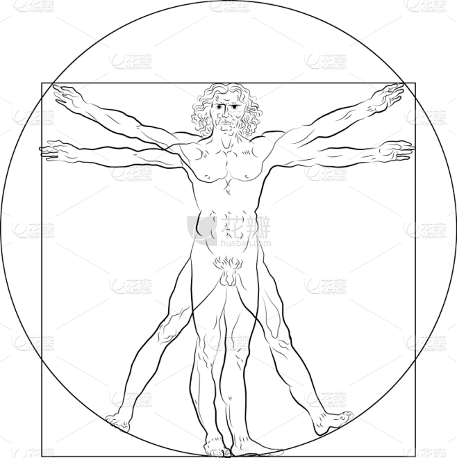 人属,维特鲁威人,达芬奇,生物学,名声,比例,技术,自然美,几何学素材-花瓣网