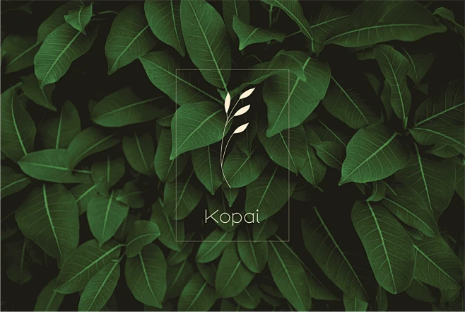 branding farm graphic design Homestay hotel Hotel Branding Identity ...
