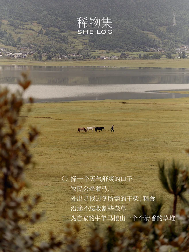 @稀物集SHELOG 的个人主页 - 微博-花瓣网