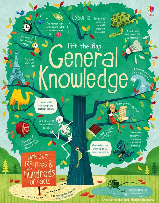 General Knowledge - Childrens Book on Behance图片_卡通海报图片素材-花瓣网