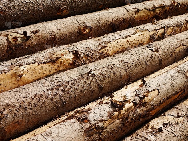 堆叠木材的特写