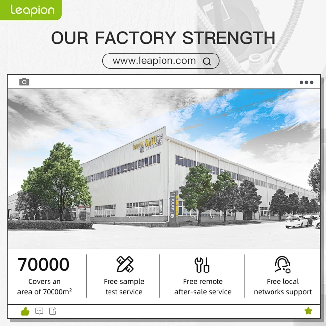 可能是包含下列内容的图片：木材堆置场和上面的文字是“Leapion OUR FACTORY STRENGTH www.leapion.com ...