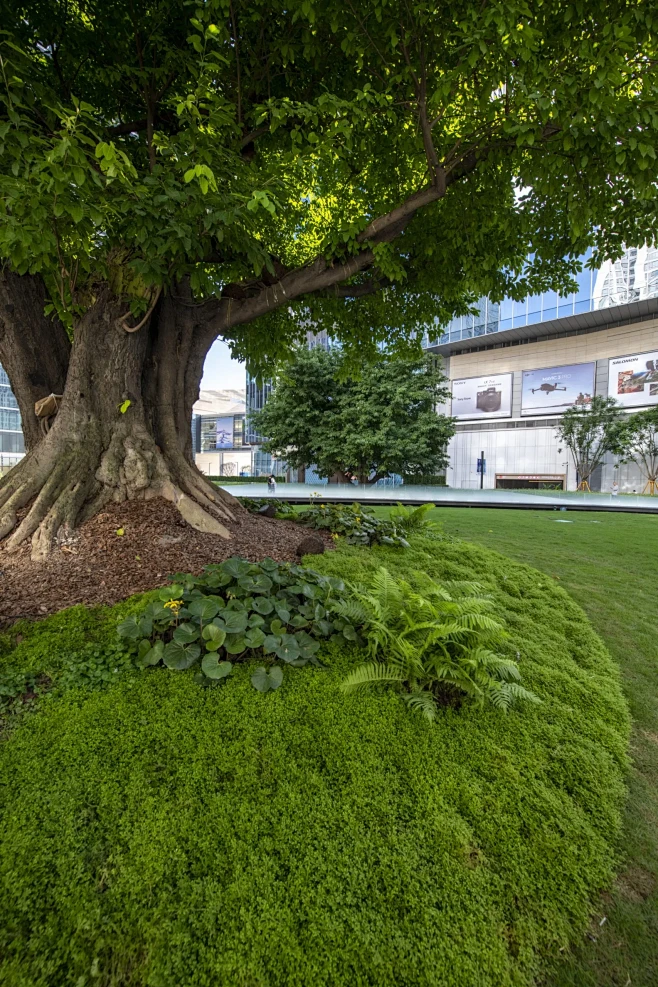重庆万象城二期：山城溶溶，万象榕容 / PLAND博度景观设计 – mooool木藕设计网-花瓣网