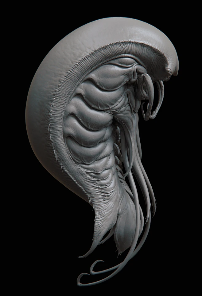 Isopod Creature Concept图片_怪物图片素材-花瓣网