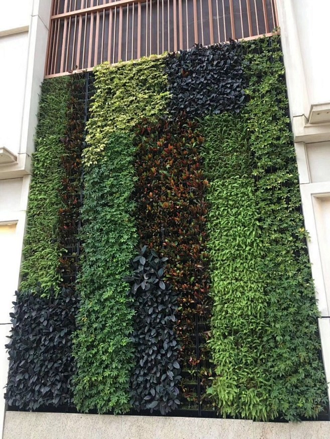 点击查看源网页图片_B-立面\垂直绿化图片素材-花瓣网