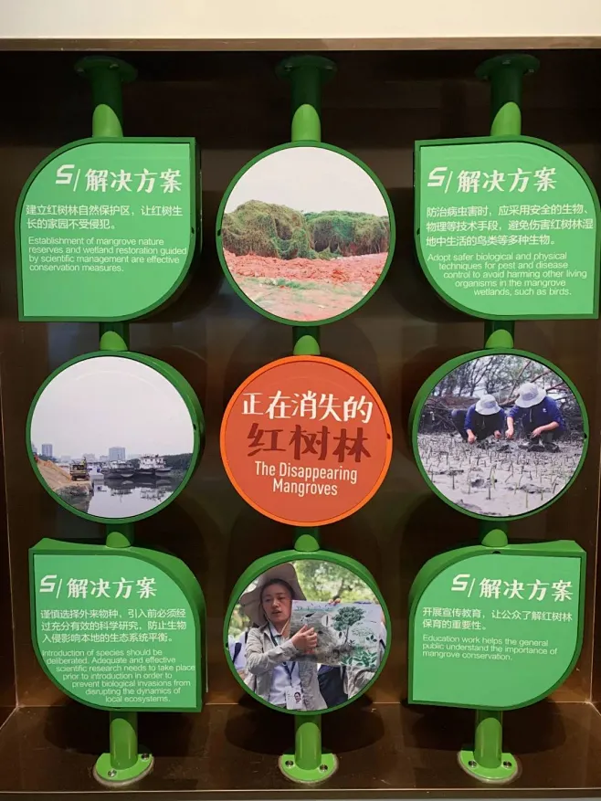 红树林 科普馆的搜索结果_百度图片搜索-花瓣网