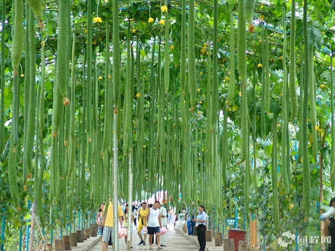 点击查看源网页-花瓣网