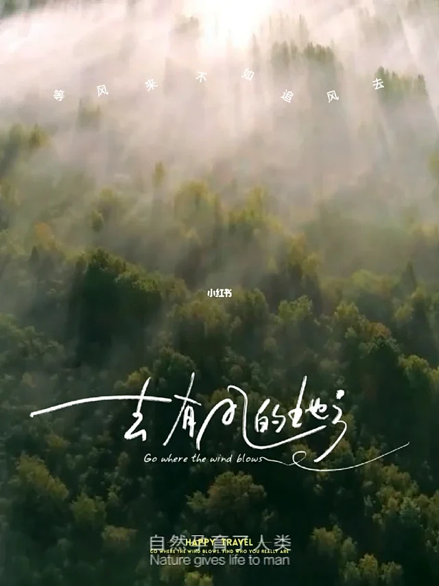 公司宣传片文案 - 小红书搜索-花瓣网