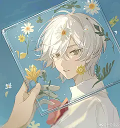 Naver Image Popup-花瓣网