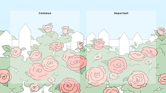 唯美插画风景分区电脑桌面壁纸