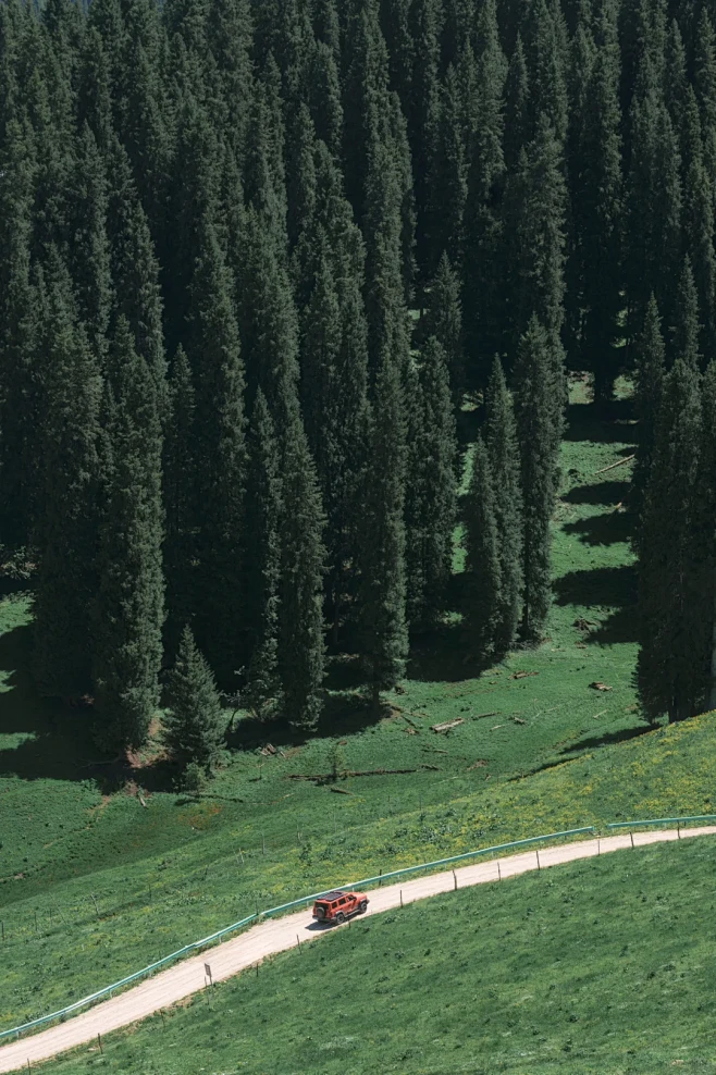 新疆Day4｜一定不要错过恰西森林公园 - 小红书-花瓣网