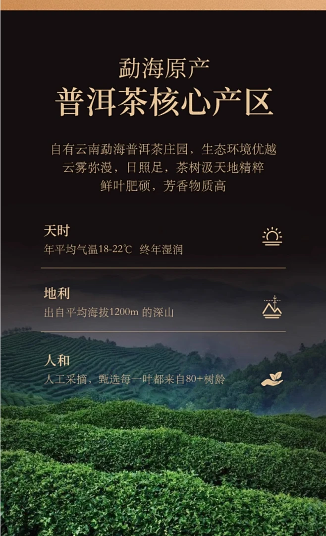 华祥苑贵宾茶叶 云南勐海普洱熟茶散茶168g 高档送礼礼盒装-tmall.com天猫-花瓣网