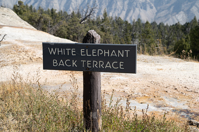 White Elephant Back Terrace thermal feature in Yel