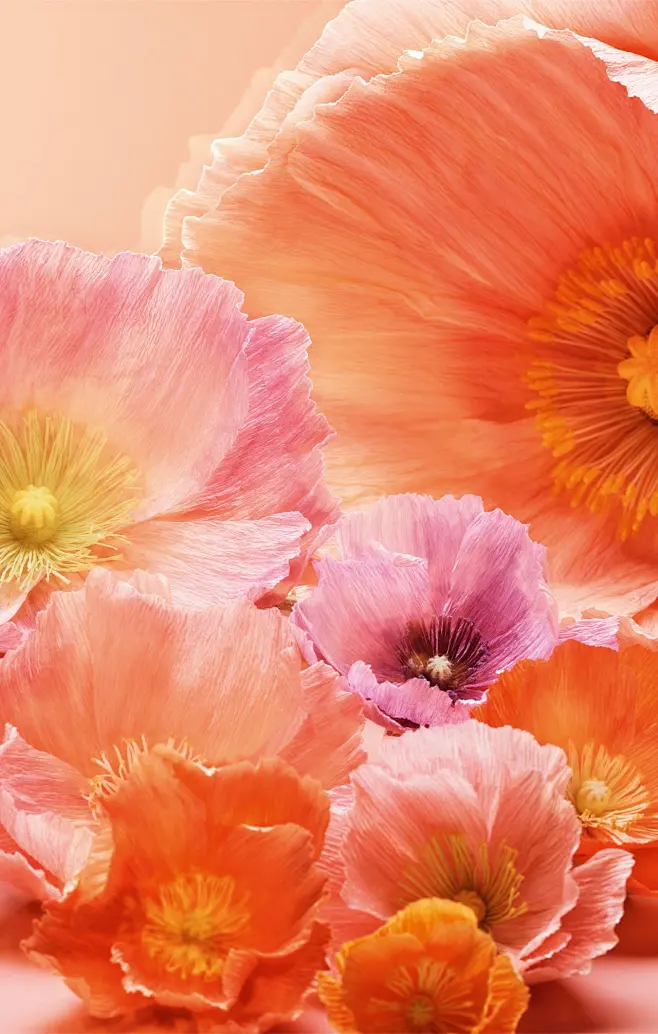 Poppy & Barley Cologne | Jo Malone : Iconic, vibrant poppies. Dancing ...