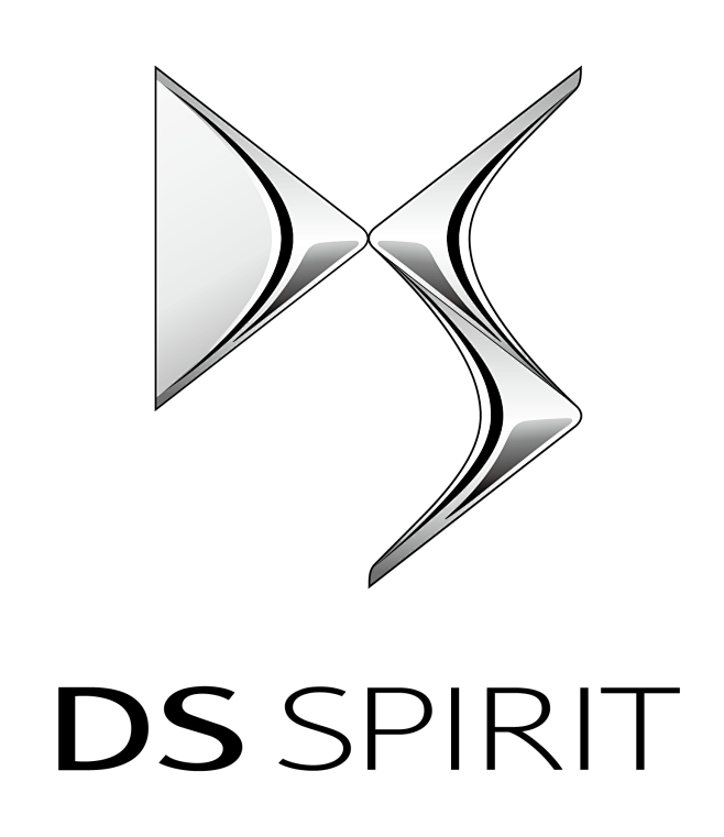 ds logo