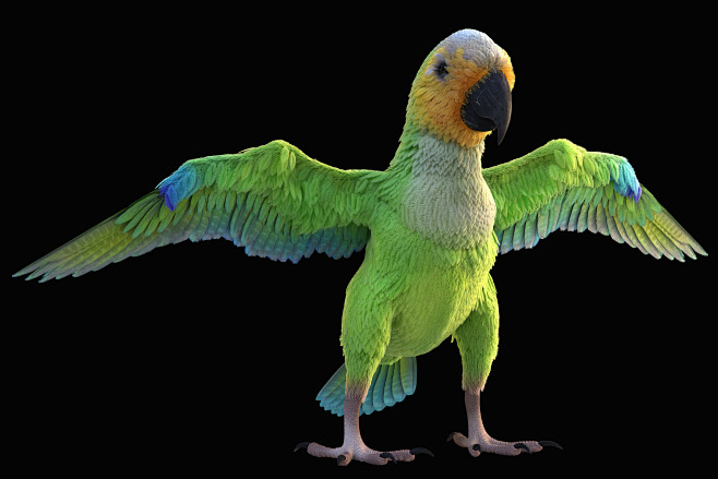 jaroslaw-handrysik-parrot-v019-4k